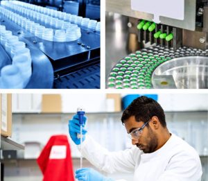 About Us – Steril-gene life sciences (p) ltd.